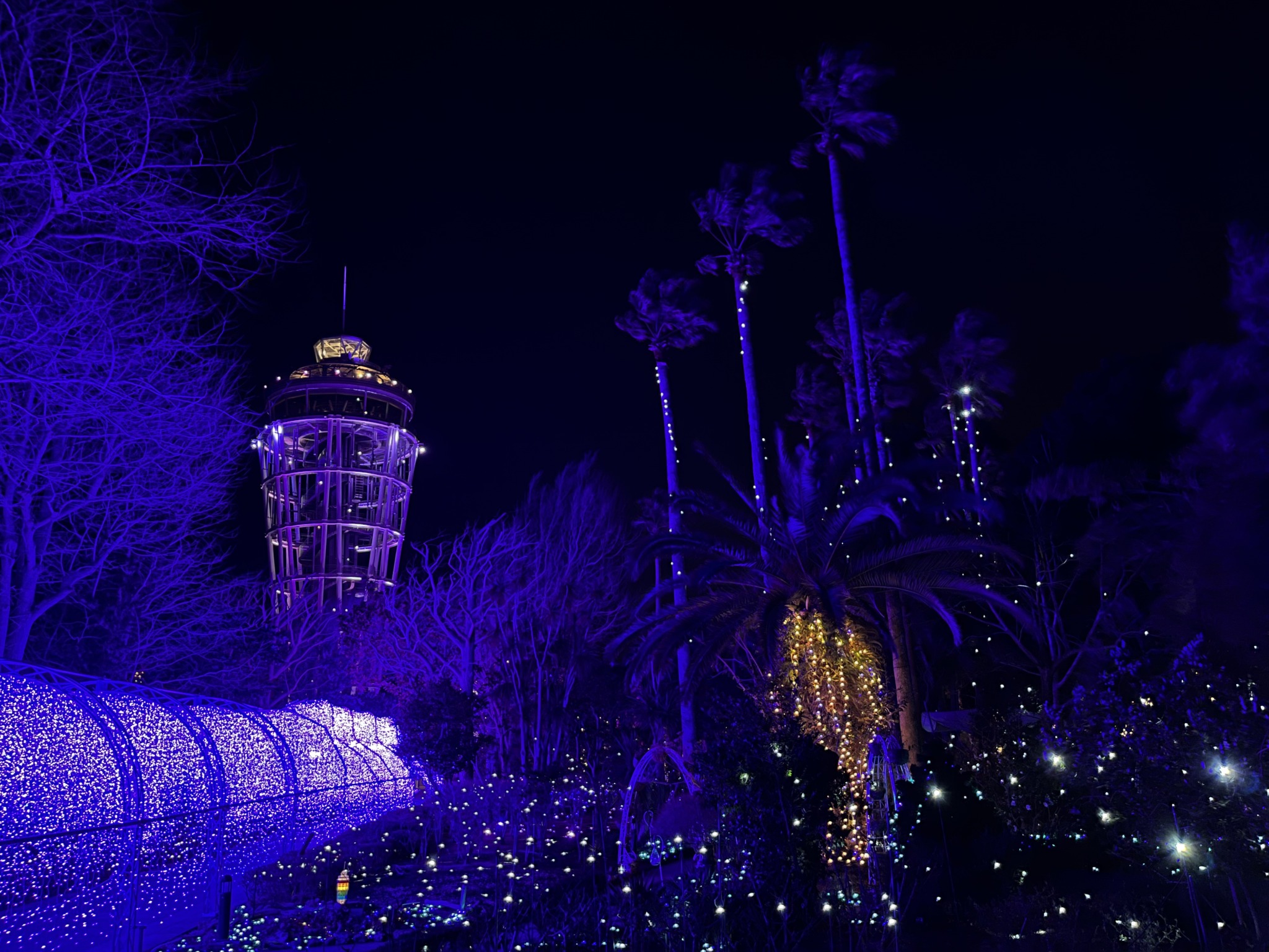 IMG_9158 | T.U.C.GROUPメルセデスベンツ専門 南行徳店